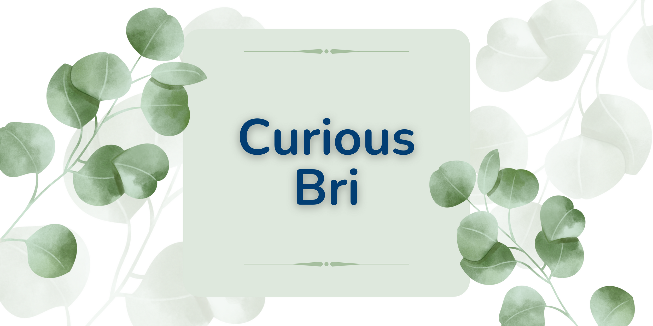 Home | Curious Bri Stories