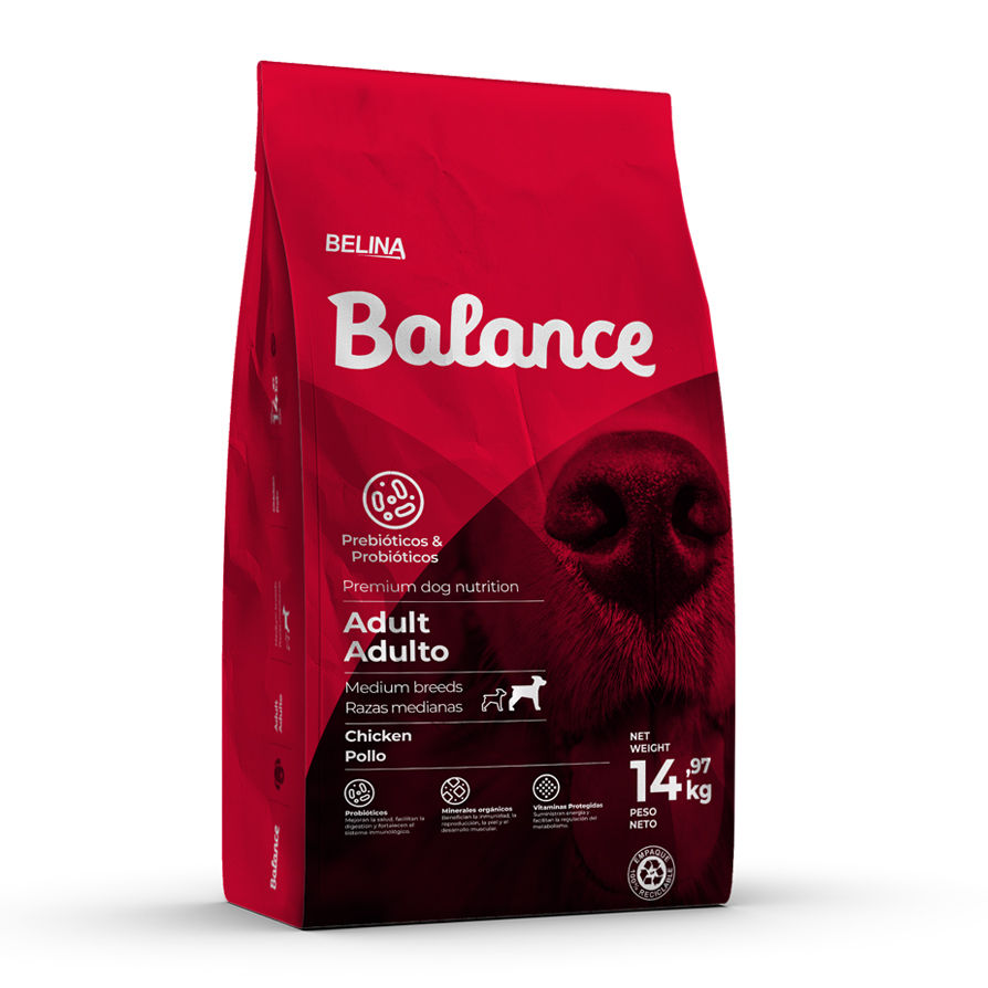 Alimentos para Perros | Premium Pet