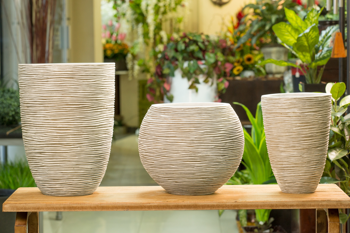 Potes para plantas | sosdecor