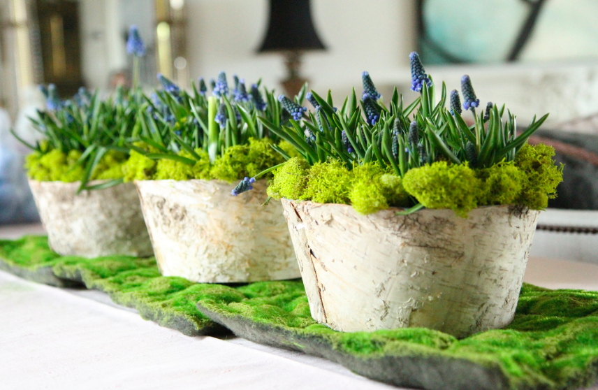 Espuma Floral Oasis® | sosdecor