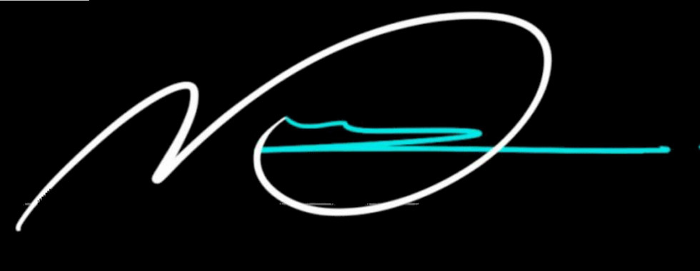 N Letter Signature Style in 2025