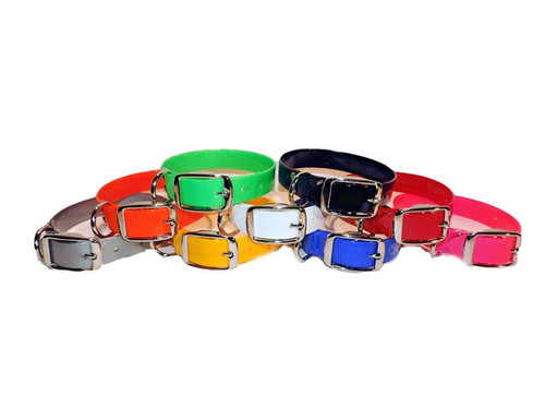 AKC Beagle Field Trial Collar Pack | Stone Creek