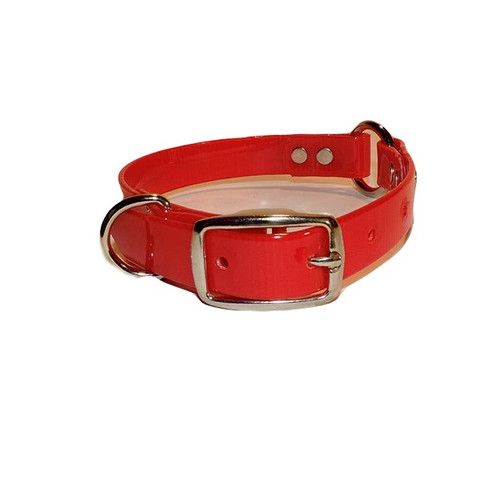 Dayglo 3/4 Inch Wide Dog Collar With Dee and Center Ring | Stone Creek