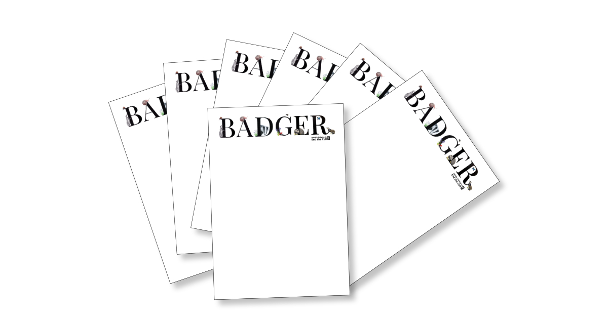 How art can save badgers: celebrating World Art Day