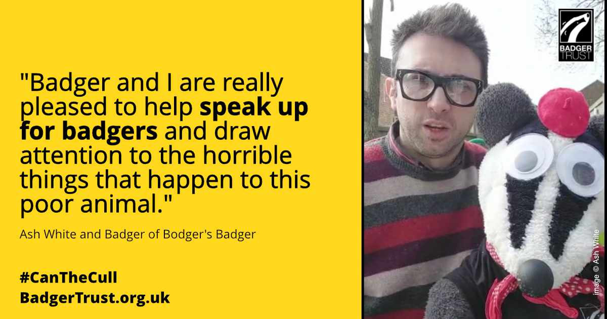 Bodger’s Badger joins Badger Trust campaign to #CanTheCull