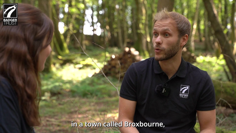 Brocktober | Badger Trust