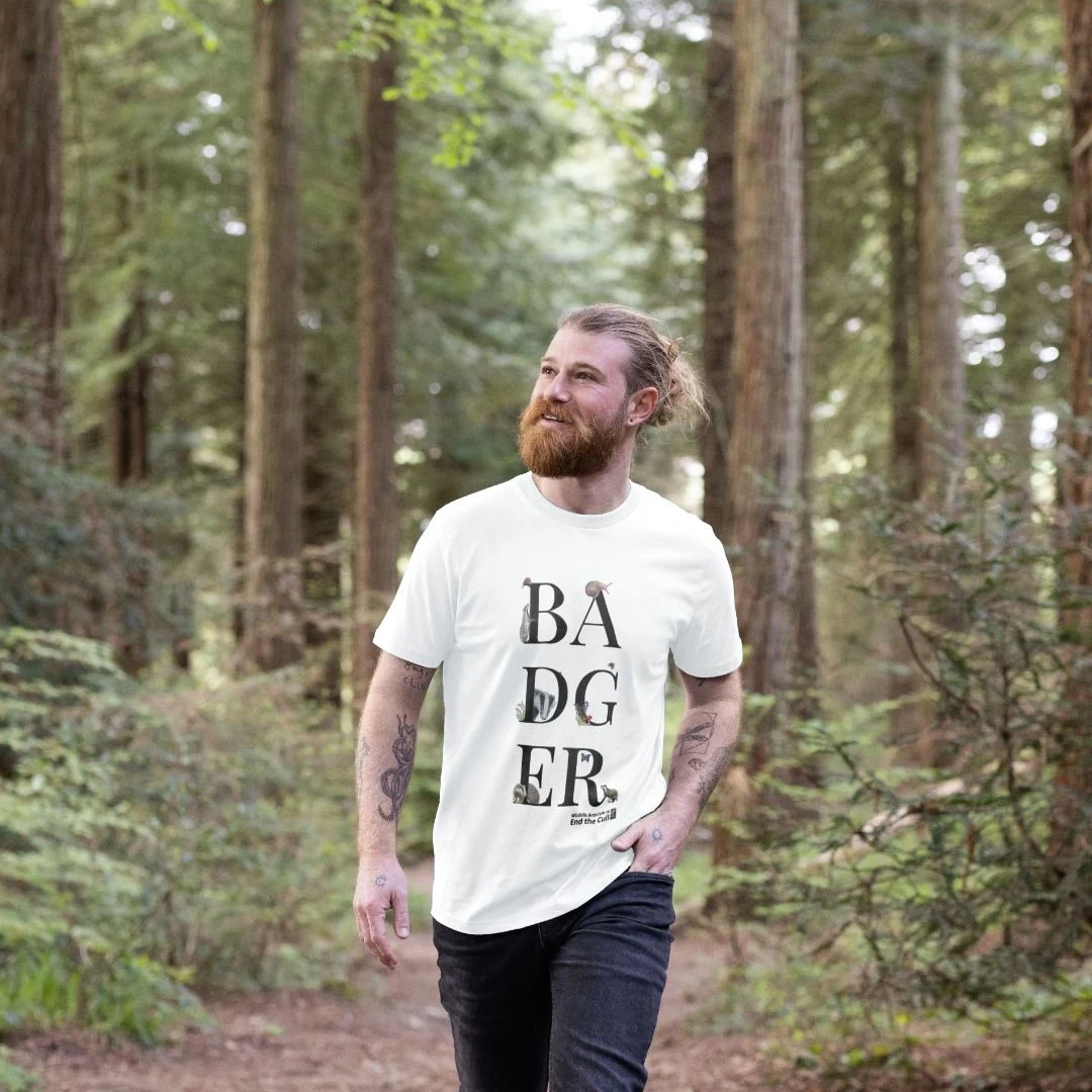 Wildlife ARTivism | Badger Trust