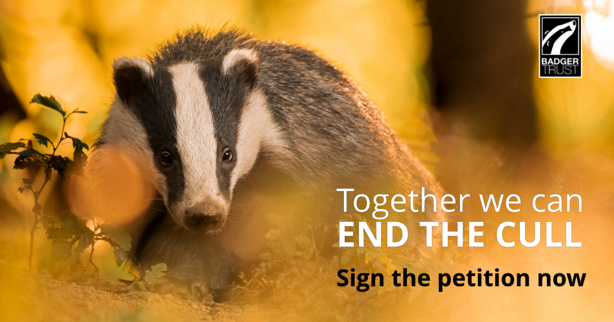 Latest consultation shows UK government remains fixated on killing ...