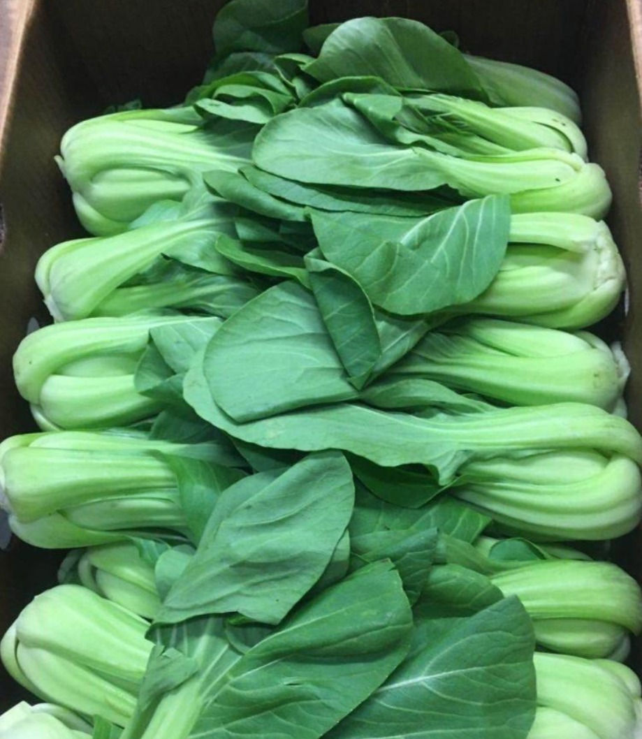 PLACE AN ORDER | Wan Da Wholesale