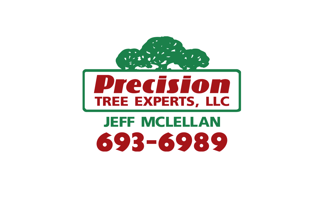 Precision Tree Experts | Farmington Valley Connecticut