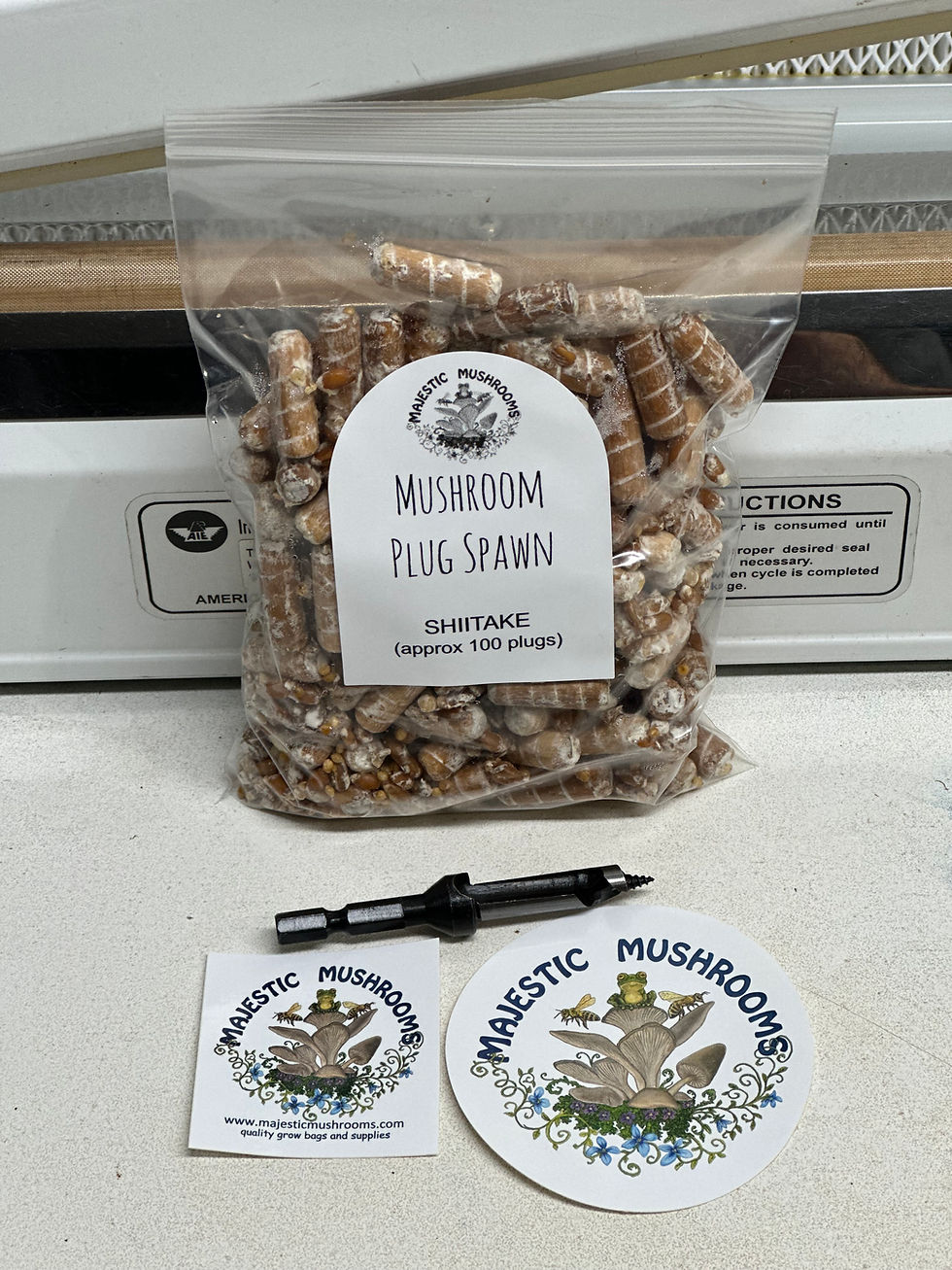 Spawn, Plugs, Agar, Petris | majesticmushrooms 2/2