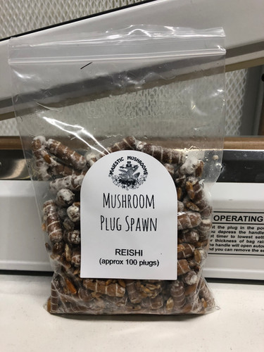 Reishi plug spawn 100x | majesticmushrooms