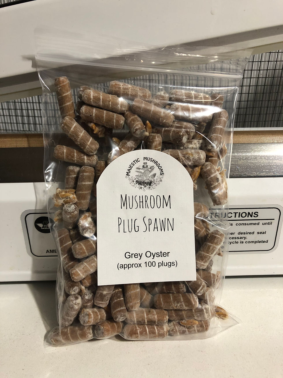 Grey Oyster plug spawn 100x | majesticmushrooms