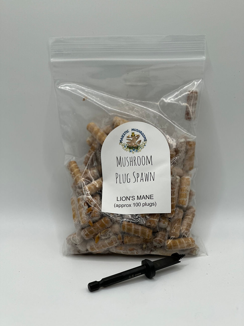 Spawn, Plugs, Agar, Petris | majesticmushrooms