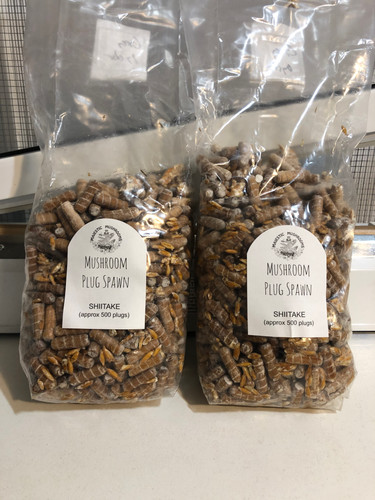 Shiitake plug spawn 1,000x | majesticmushrooms