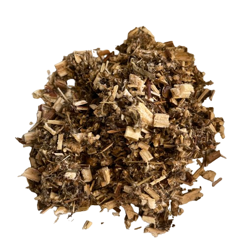 Armoise (Artemisia vulgaris) | Cercle Magique