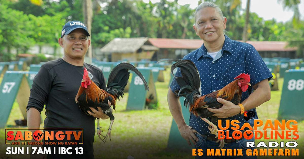 Radio Bloodline ng ES Matrix Gamefarm with Doc Jun Cueto | SabongTV
