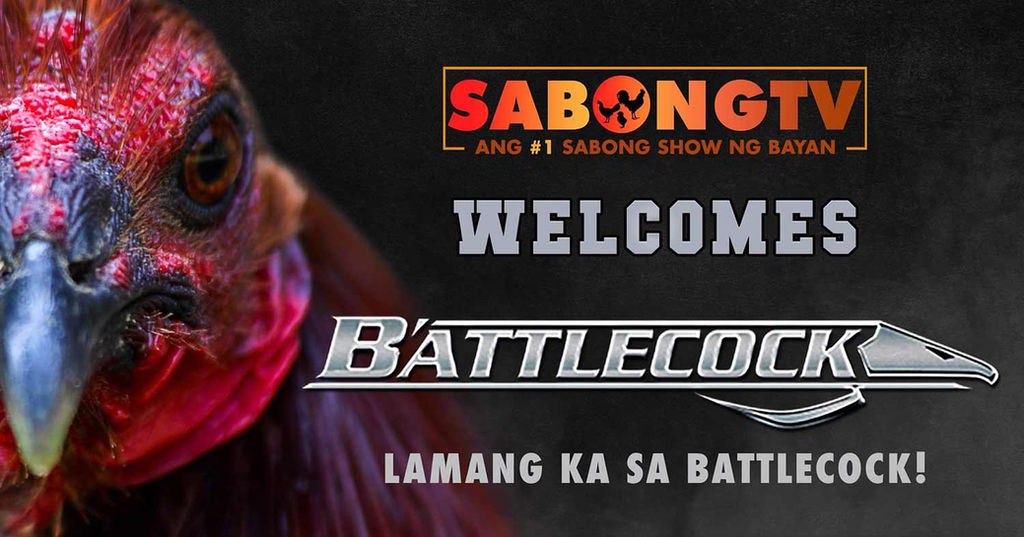 Latest Sabong Updates | SabongTV
