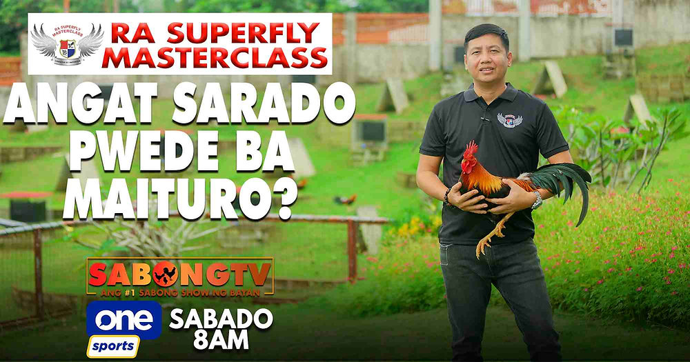 Atty. Ryan on Pagturo ng Angat Sarado sa Manok | SabongTV