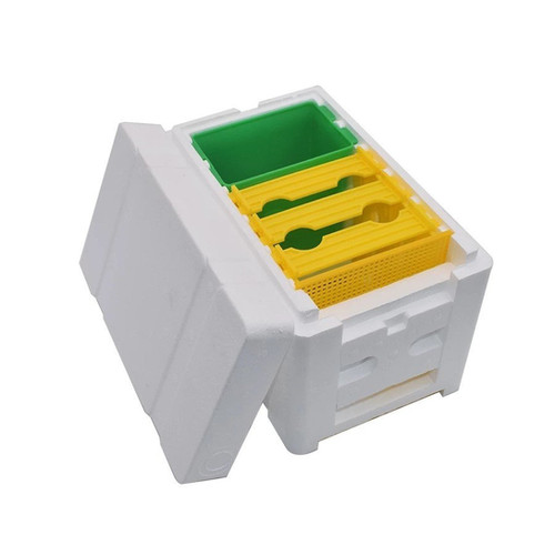 Mating Nuc Box | BEEnevolent