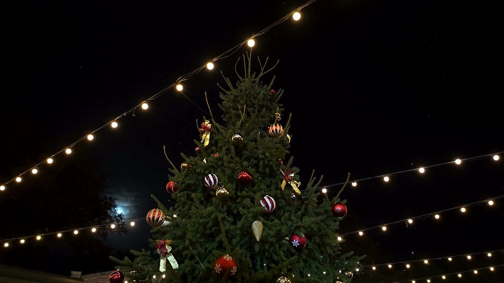 Magical Santa Express | Statfold