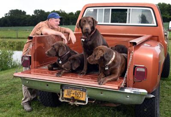 Training Service Dogs for Children with Autism