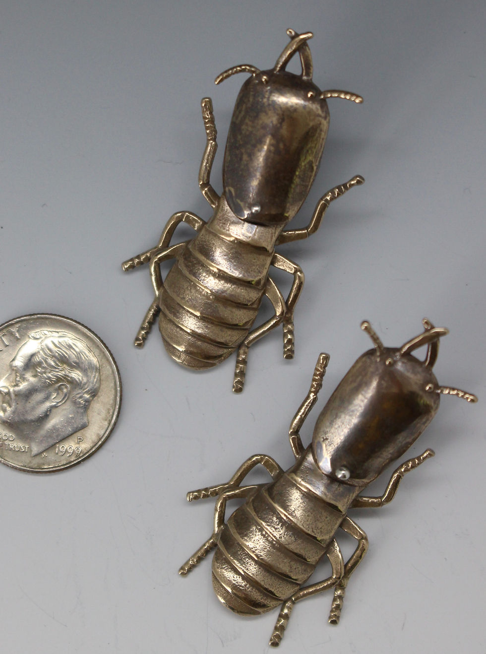 Insects and Arthropods | lunaparc-3