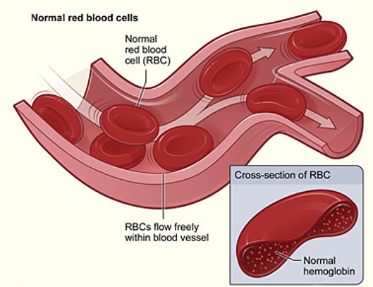 How to interpret Hemoglobin count results?