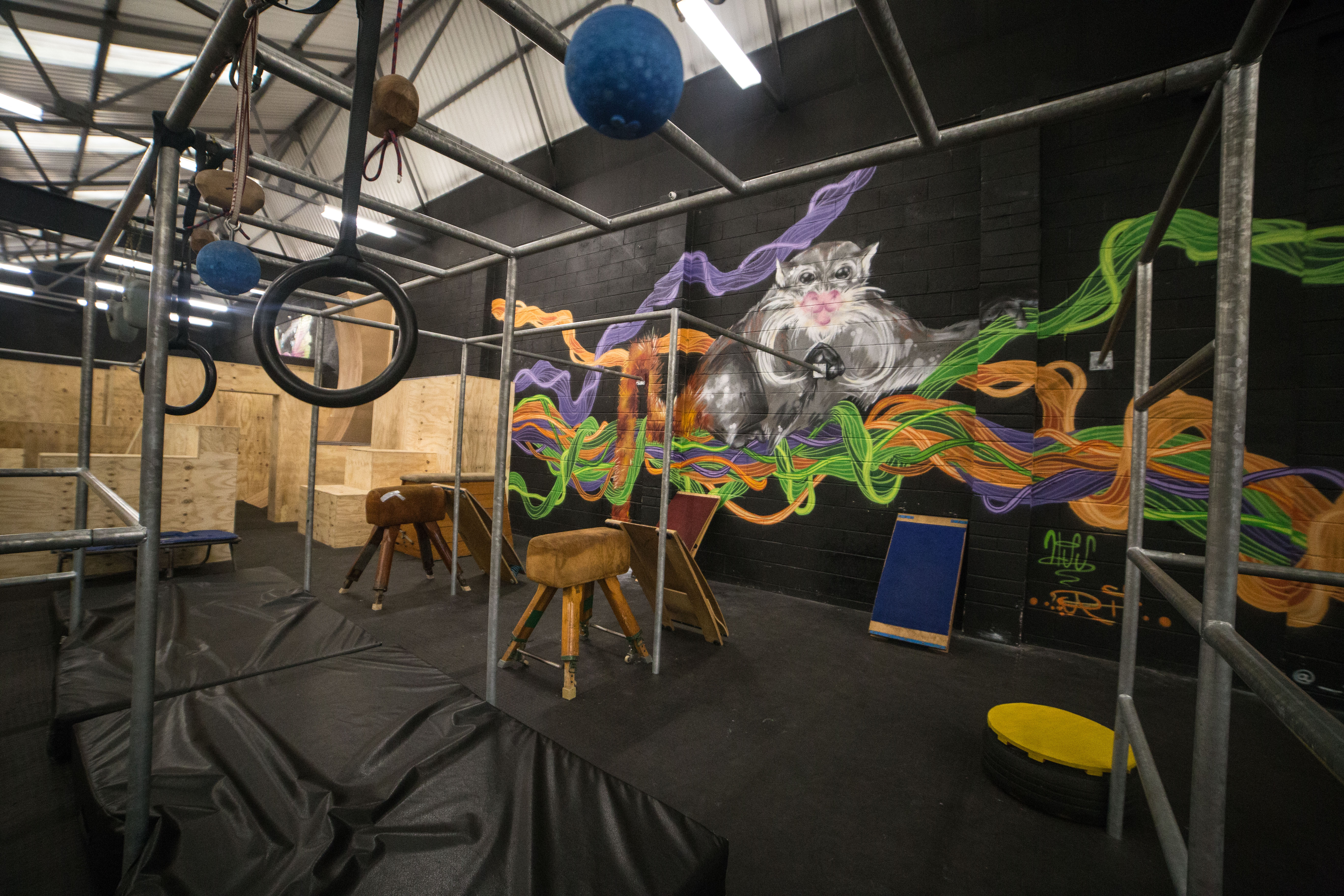 Fluidity Freerun Academy - Cardiff Parkour and Freerunning Center