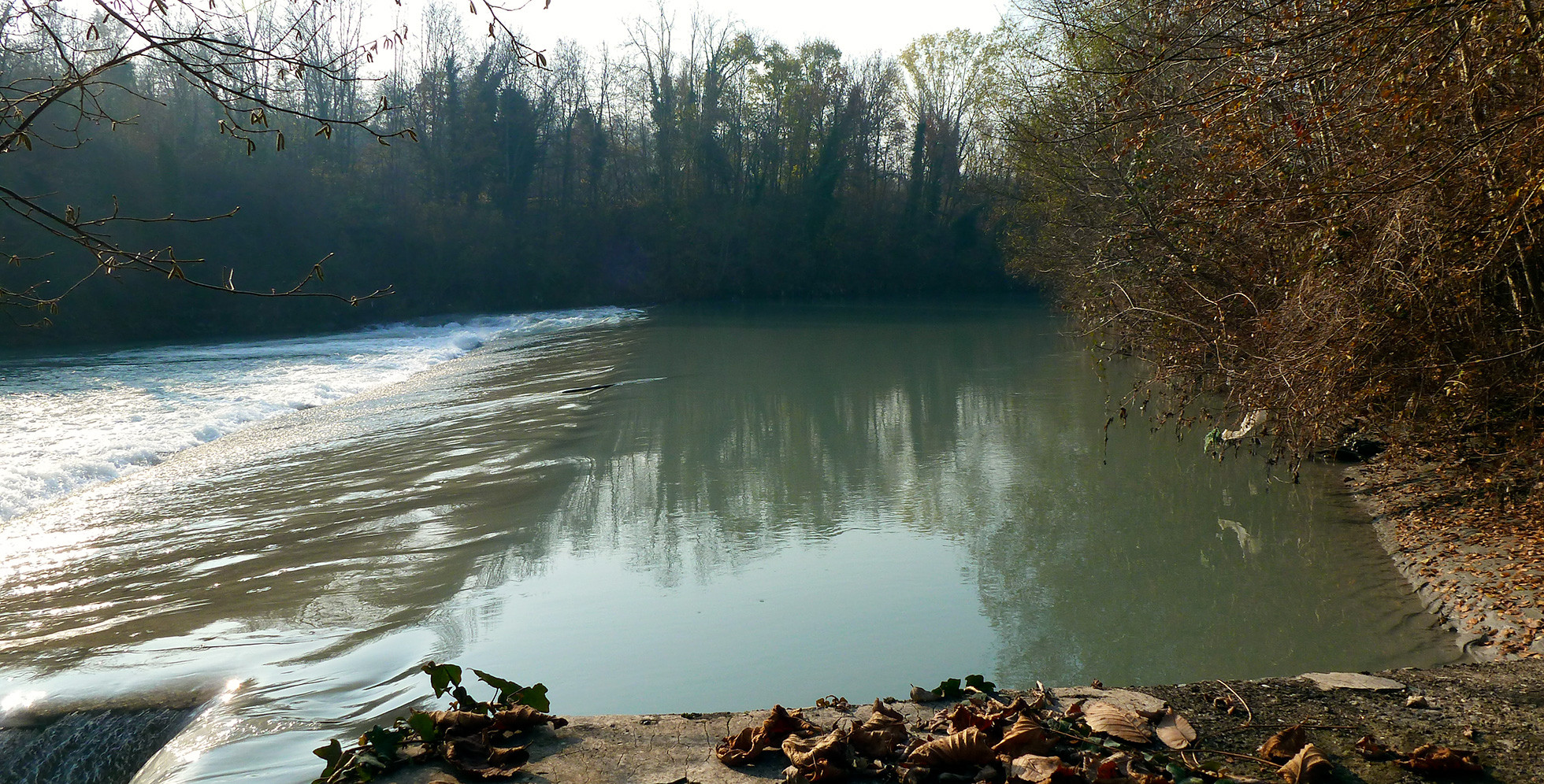 La bealera nuova di Lucento | I canali di Torino