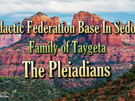 Our Galactic Families