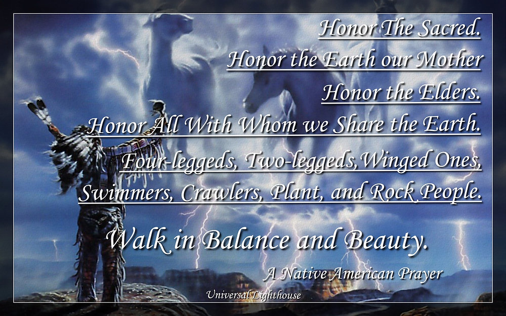 Everything is Consciousness (Rocks, Plants, Animals, and Even The Earth ...