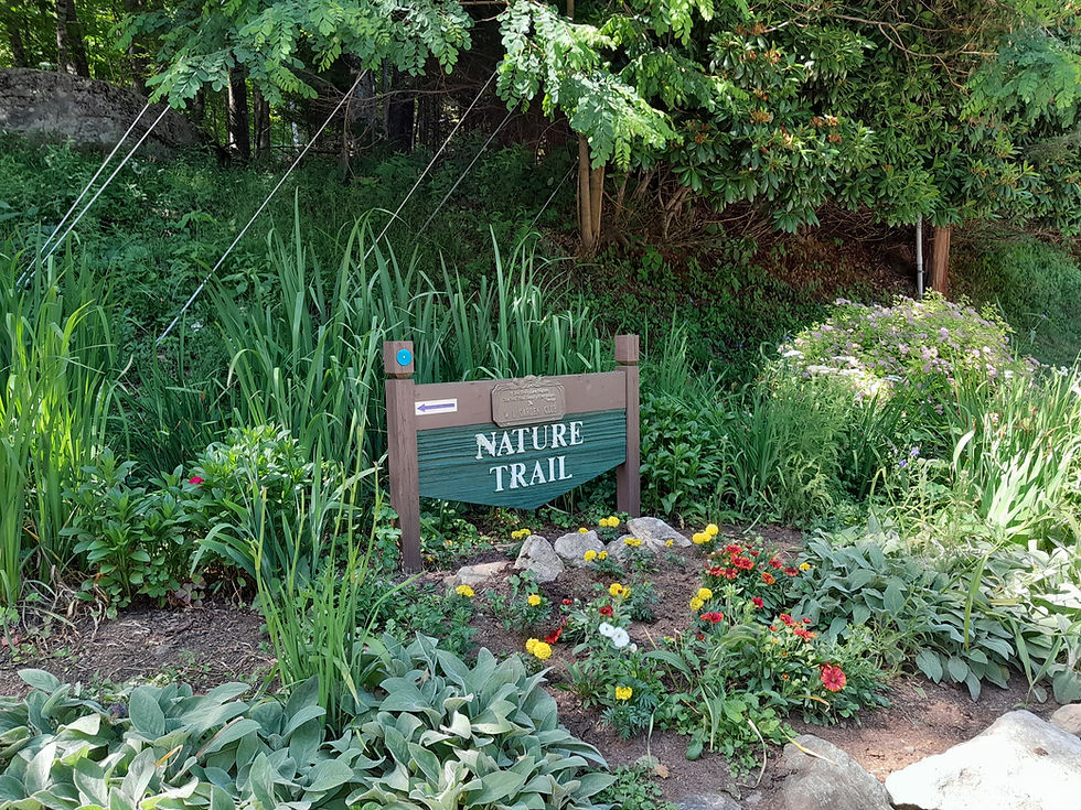 WLPOA Home Page | wlpoa Mars Hill NC Wolf Laurel Property Owners ...