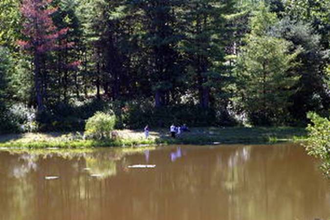 Cooperstown Beaver Valley Cabins & Campsites