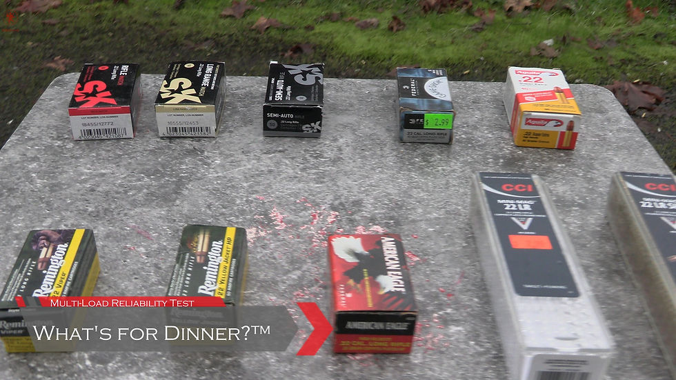 Derya Arms TM22 Flash 18