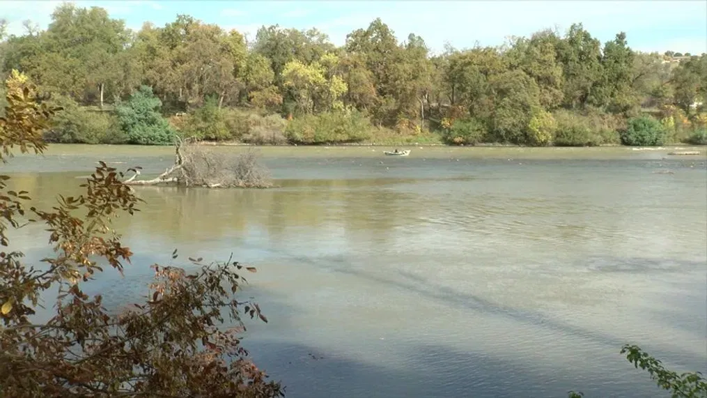 Princeton California Sacramento river Town, Fishing Hunting and Beer