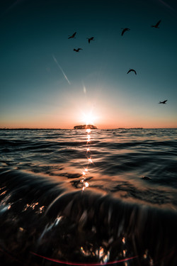 Andrew Muzin Photography