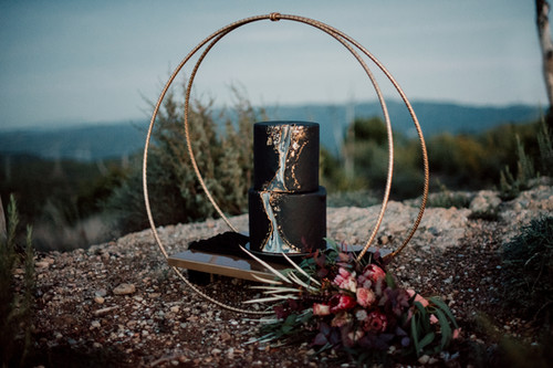 Aro pastel | Steelhalo