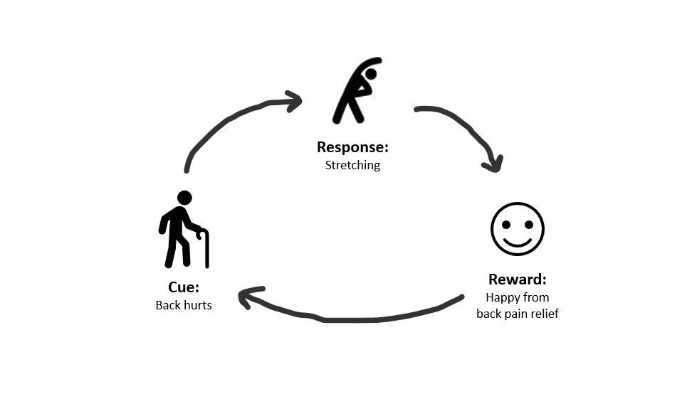 Why Habits Exist and How to Control Them