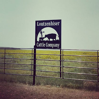 BEEF PROCESSING | Loutzenhiser Cattle
