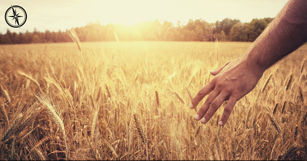 Why I Labor For The Lord