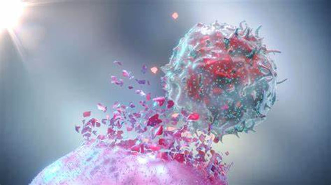 Transforming Oncology: The Role of AI in Solid State Tumor Analysis and ...