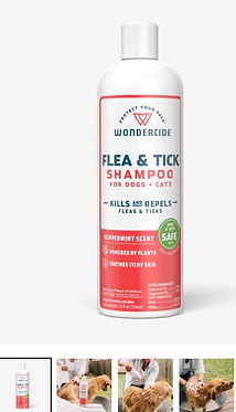 Blank Page | Garlind Ridge Collies (WISCONSIN)