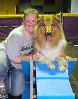 Collies at work | Garlind Ridge Collies (WISCONSIN)