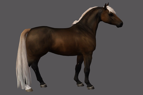 German Classic Pony | Atelier