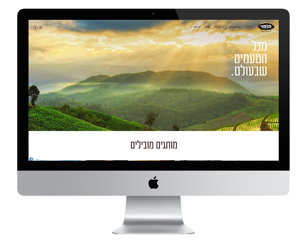 אתר Wix קטלוגי לחברת "תומר ייבוא ושיווק"