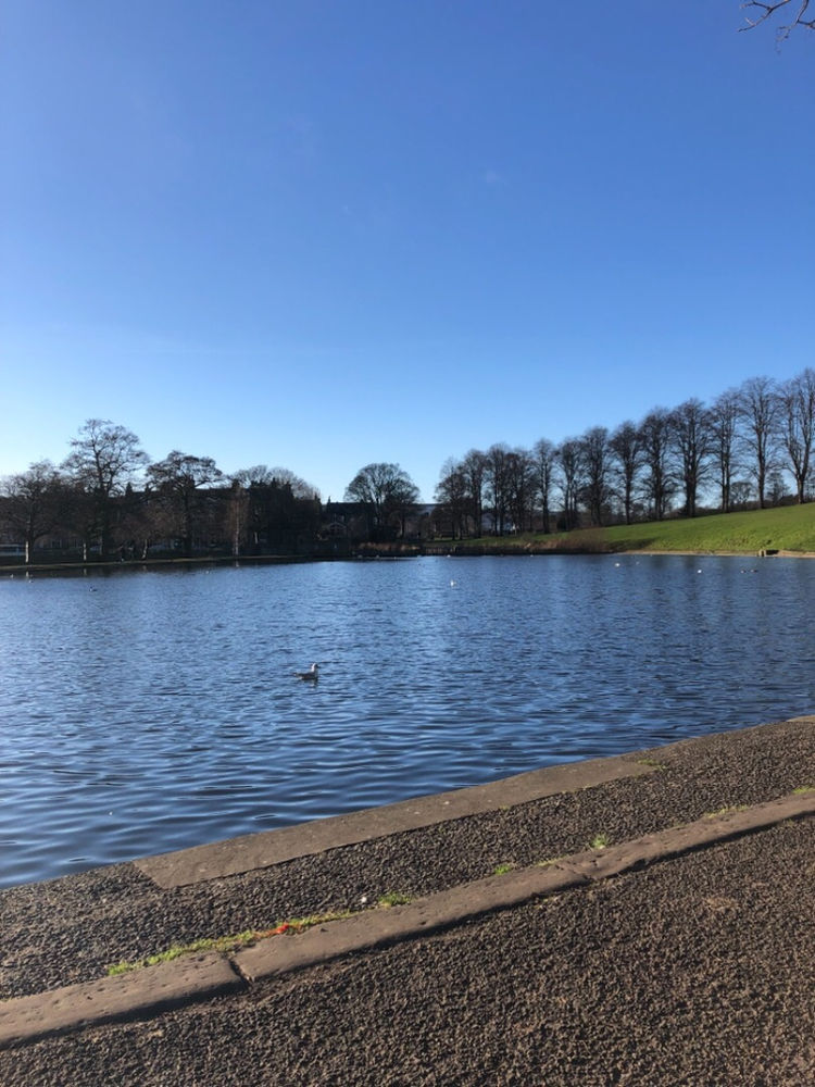 Walk to Inverleith Park