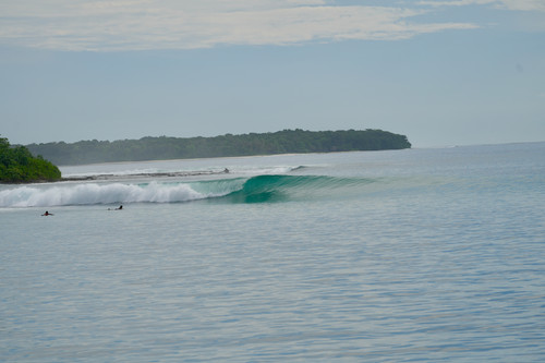 All Products | SumatranSurfariis.jp