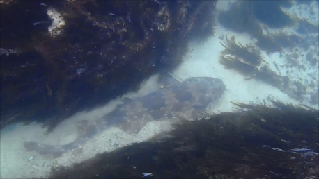 Geotextile Sand Containers: Advantages, Disadvantages & Key Applications