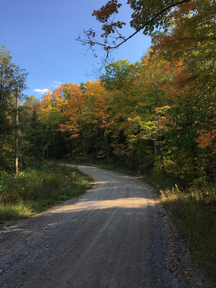Calabogie Cruise (119/72km)
